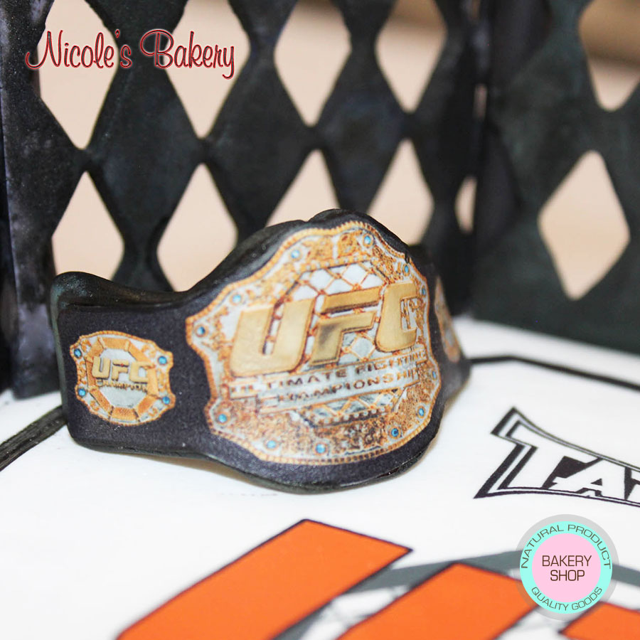 UFC Themed Cake